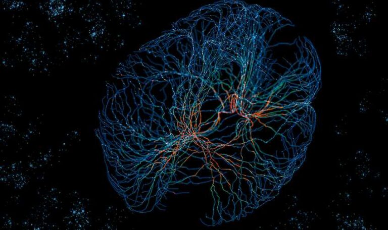 3 modelos de redes neuronales que necesitas conocer para entender la IA ...